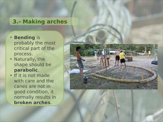 Building structures with cane.pdf