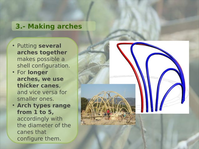 Building structures with cane.pdf