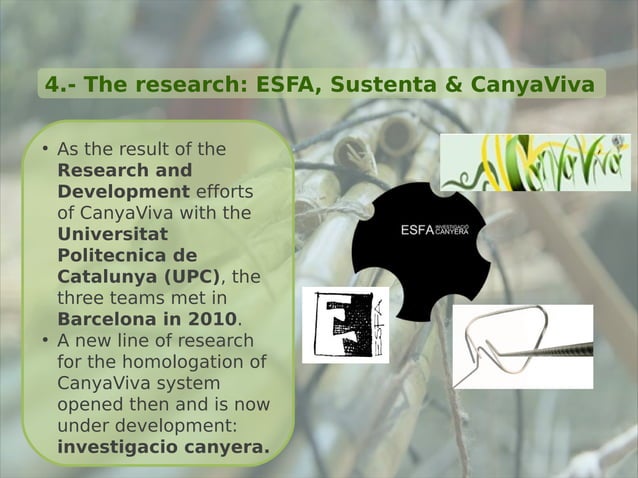 Building structures with cane.pdf