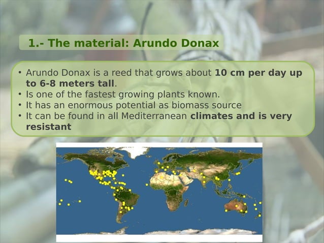 Building structures with cane.pdf