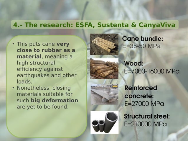 Building structures with cane.pdf