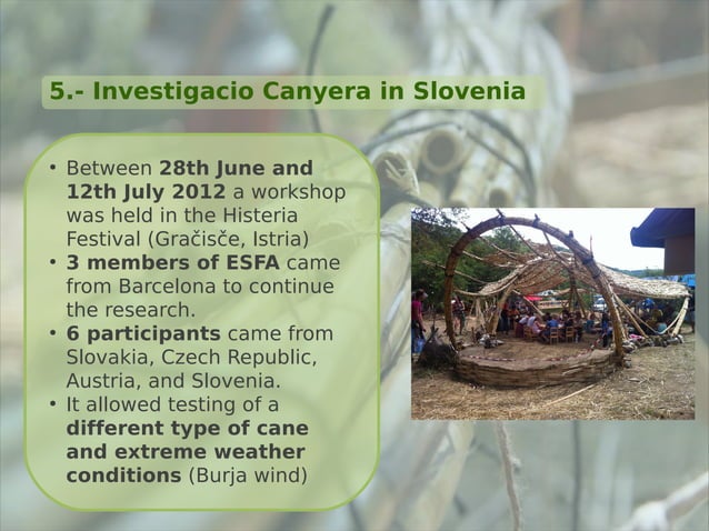 Building structures with cane.pdf