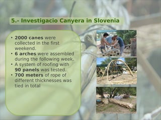 Building structures with cane.pdf