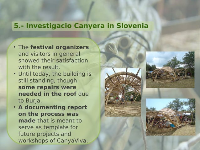 Building structures with cane.pdf