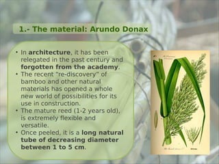 Building structures with cane.pdf