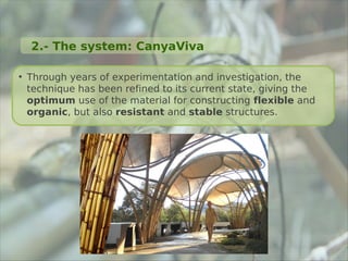 Building structures with cane.pdf