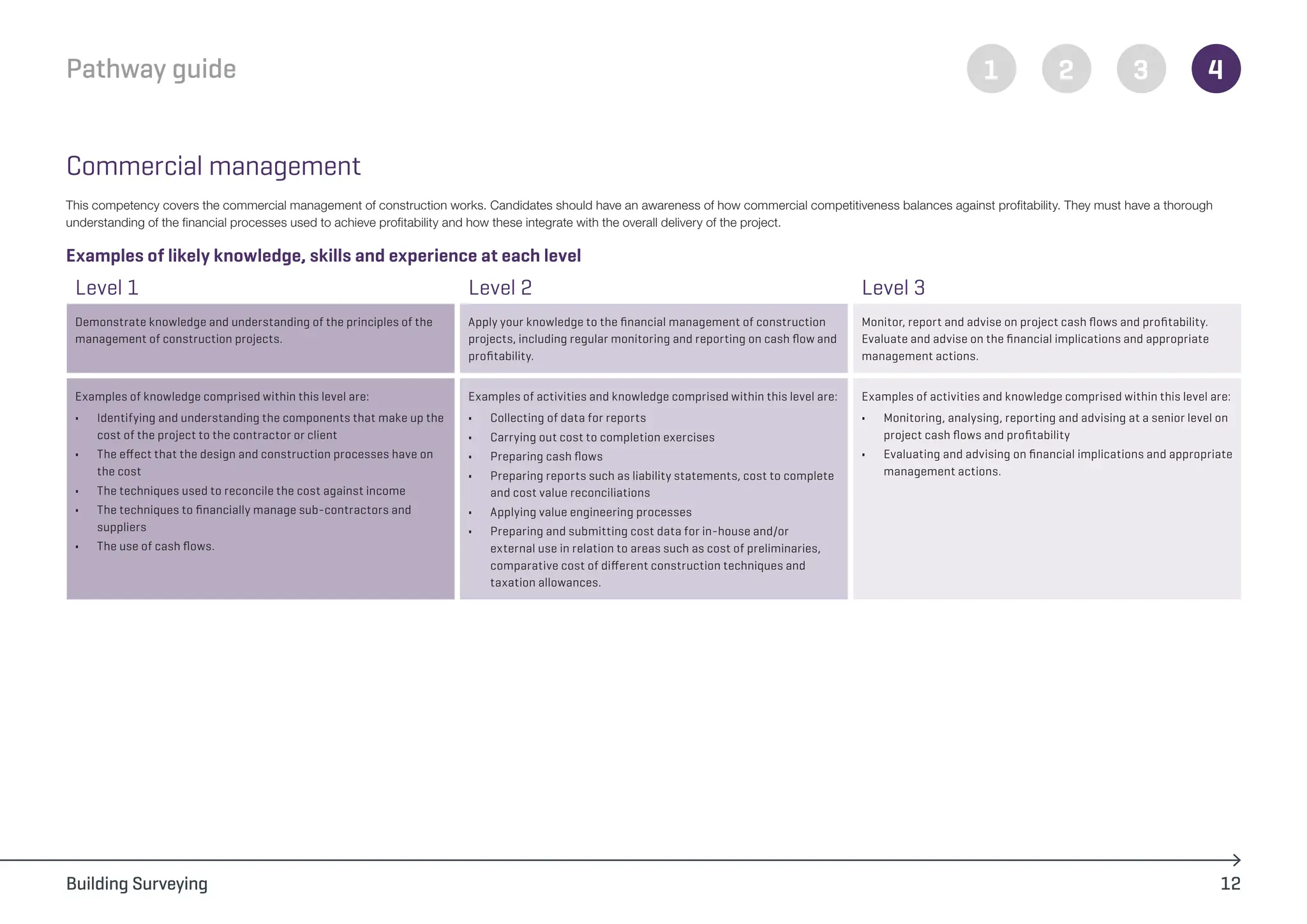 building_surveying_pathway_guide_chartered_rics (1).pdf