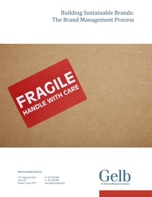 Building Sustainable Brands the Brand Management Process | PDF