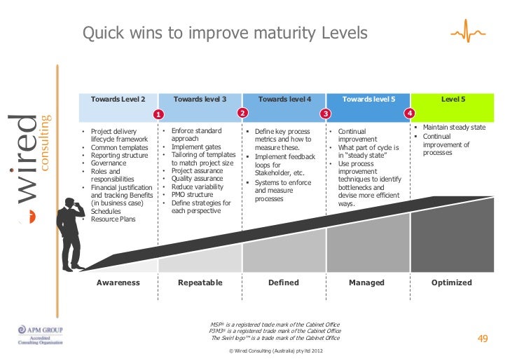 Building the case for improving your project management maturity (P3M…