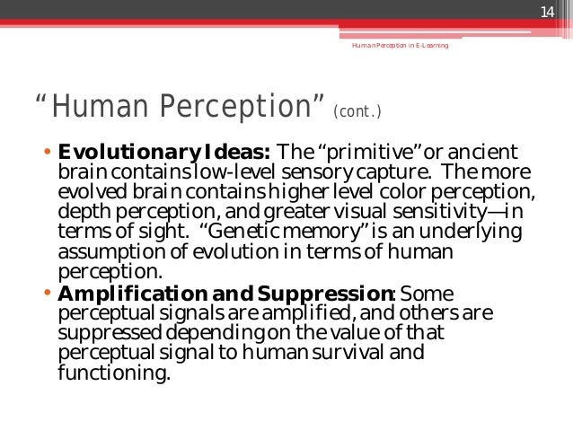 Building the Knowledge of Human Perception into E-Learning