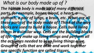 Building units of the body | PPT