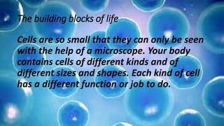 Building units of the body | PPT