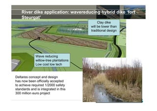 Building With Nature Concepts And Solutions | PPT