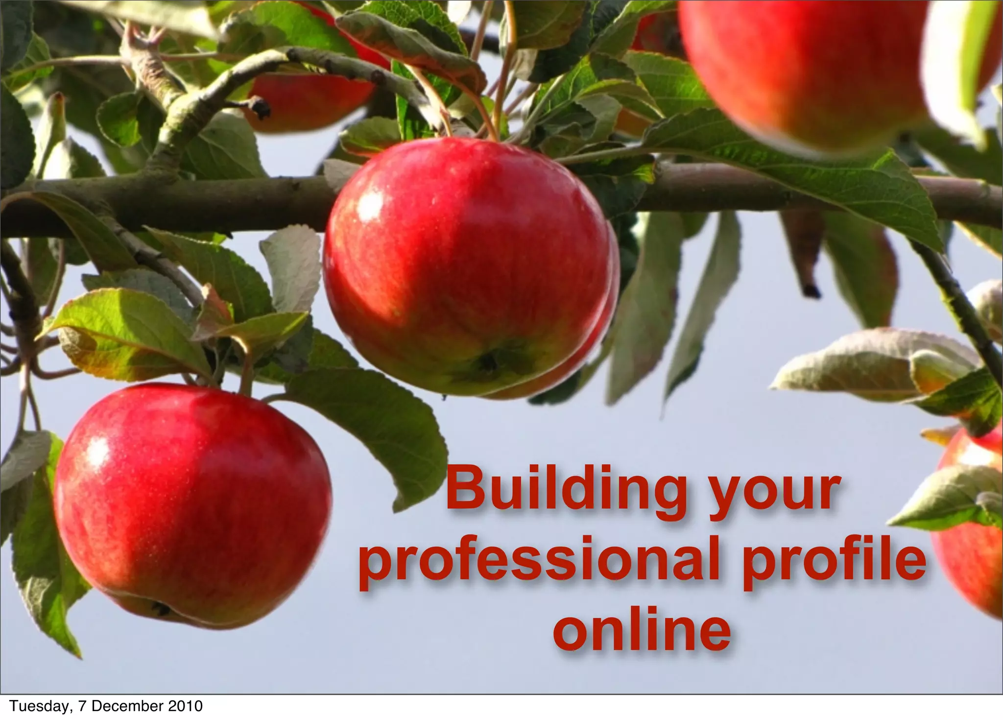 Building your professional profile online | PDF