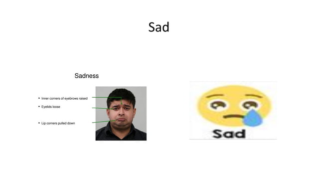 Build me emotion sam.pptx