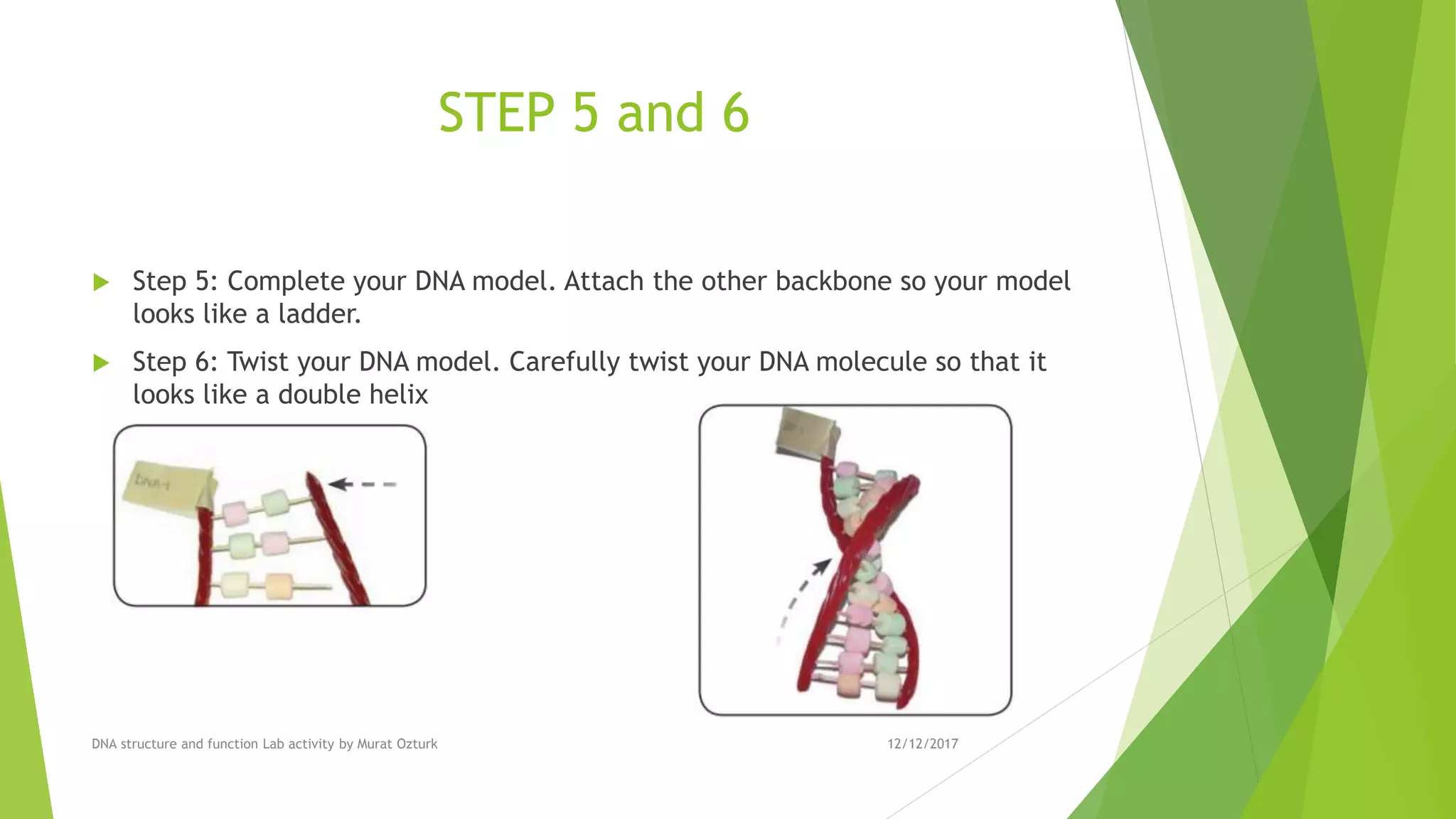 Build your dna model and eat it! | PPTX