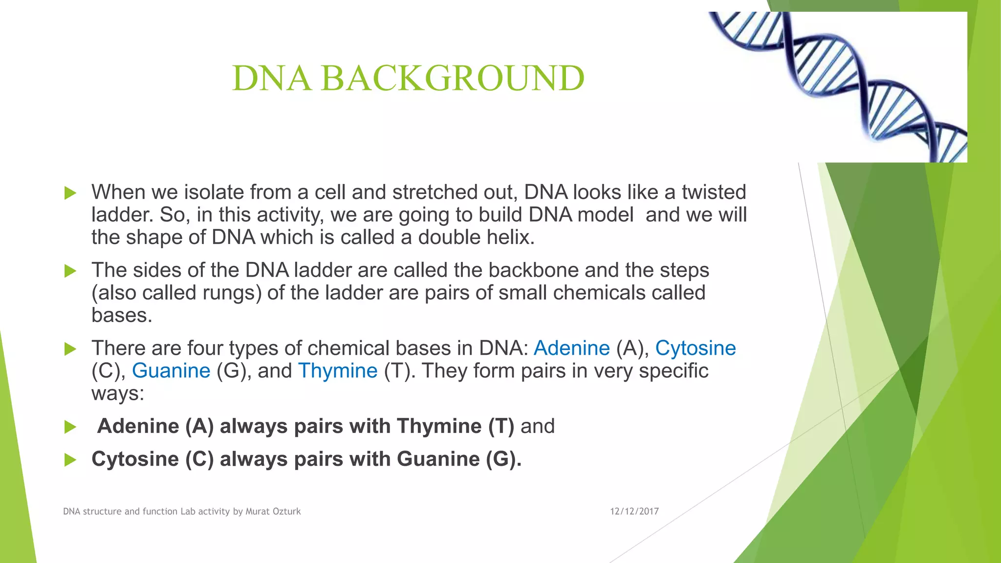 Build your dna model and eat it! | PPTX
