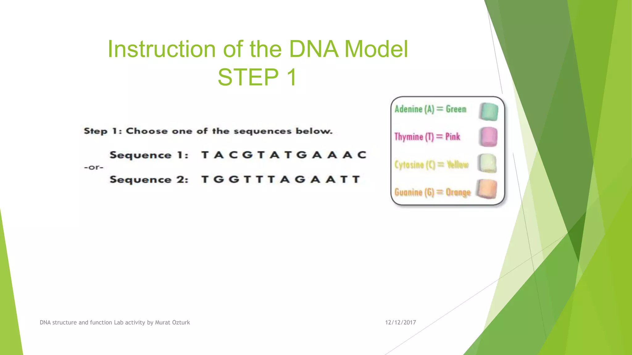 Build your dna model and eat it! | PPTX