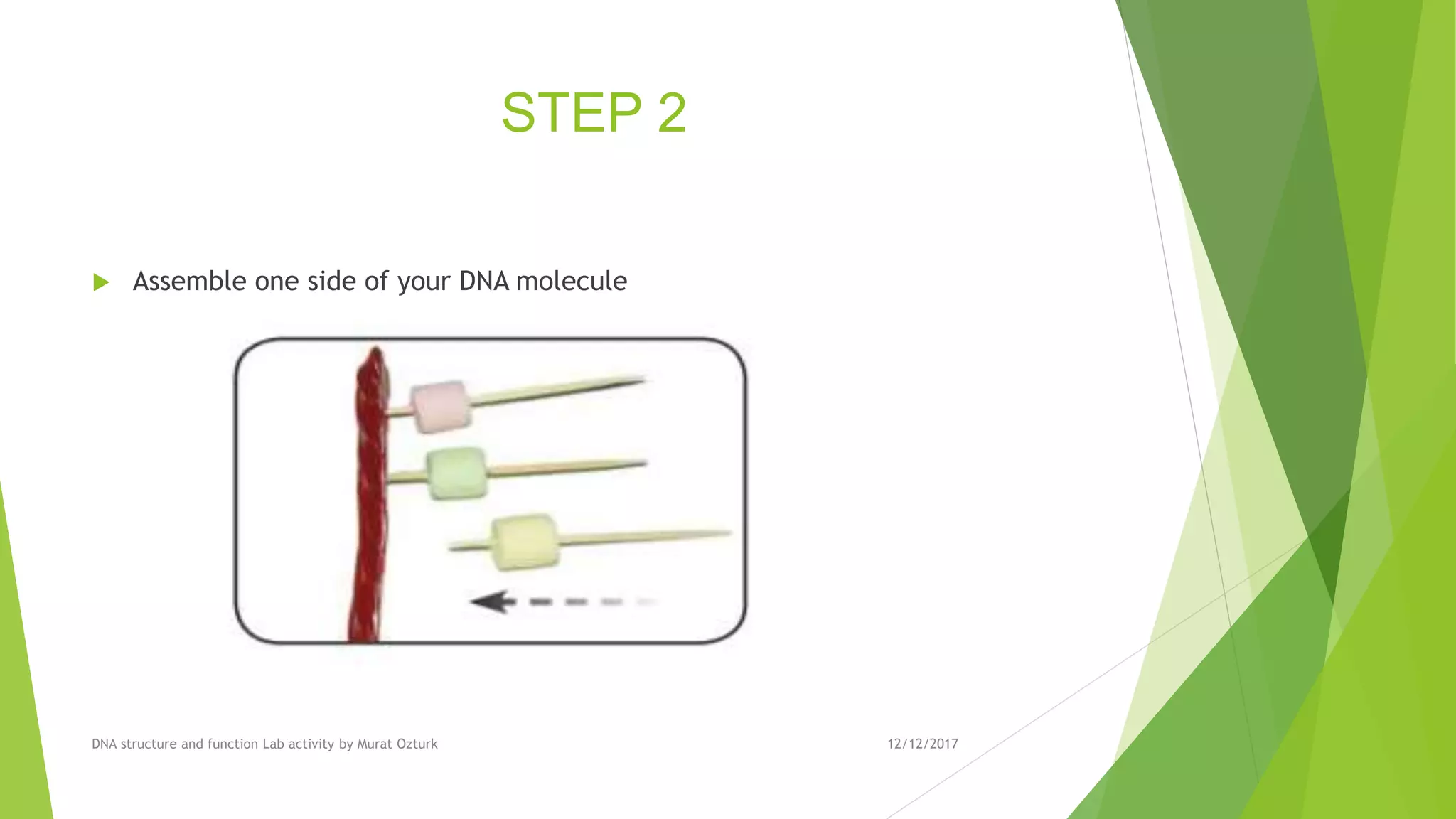 Build your dna model and eat it! | PPTX