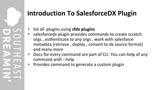 Build your own dev tools with salesforce cli plugin generator | PPT