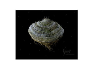 Build Your Own Planet Pptx