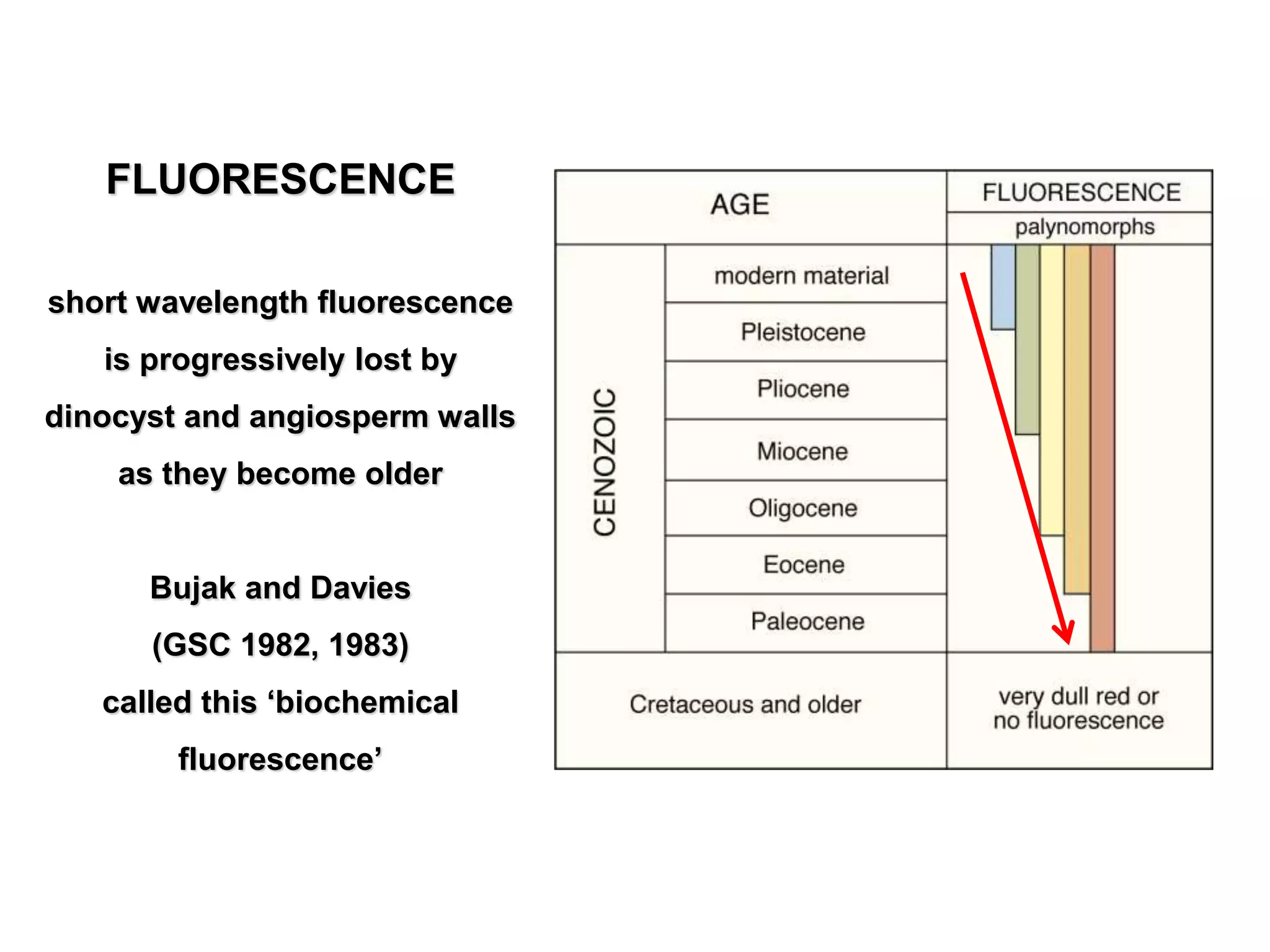 Bujak Arctic Cenozoic talk | PPTX