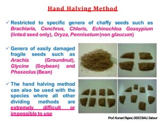 Seed sampling | PPTX