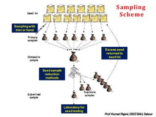 Seed sampling | PPTX
