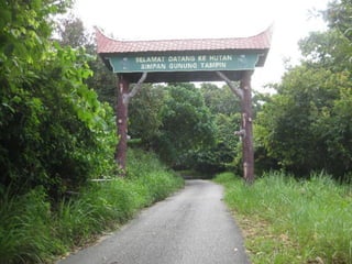 Bukit tampin | PDF