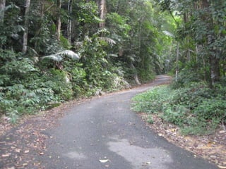 Bukit tampin | PDF