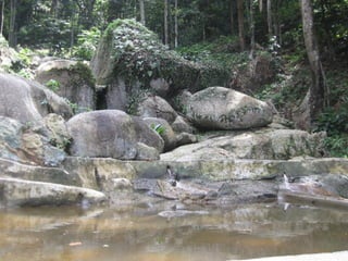 Bukit tampin | PDF