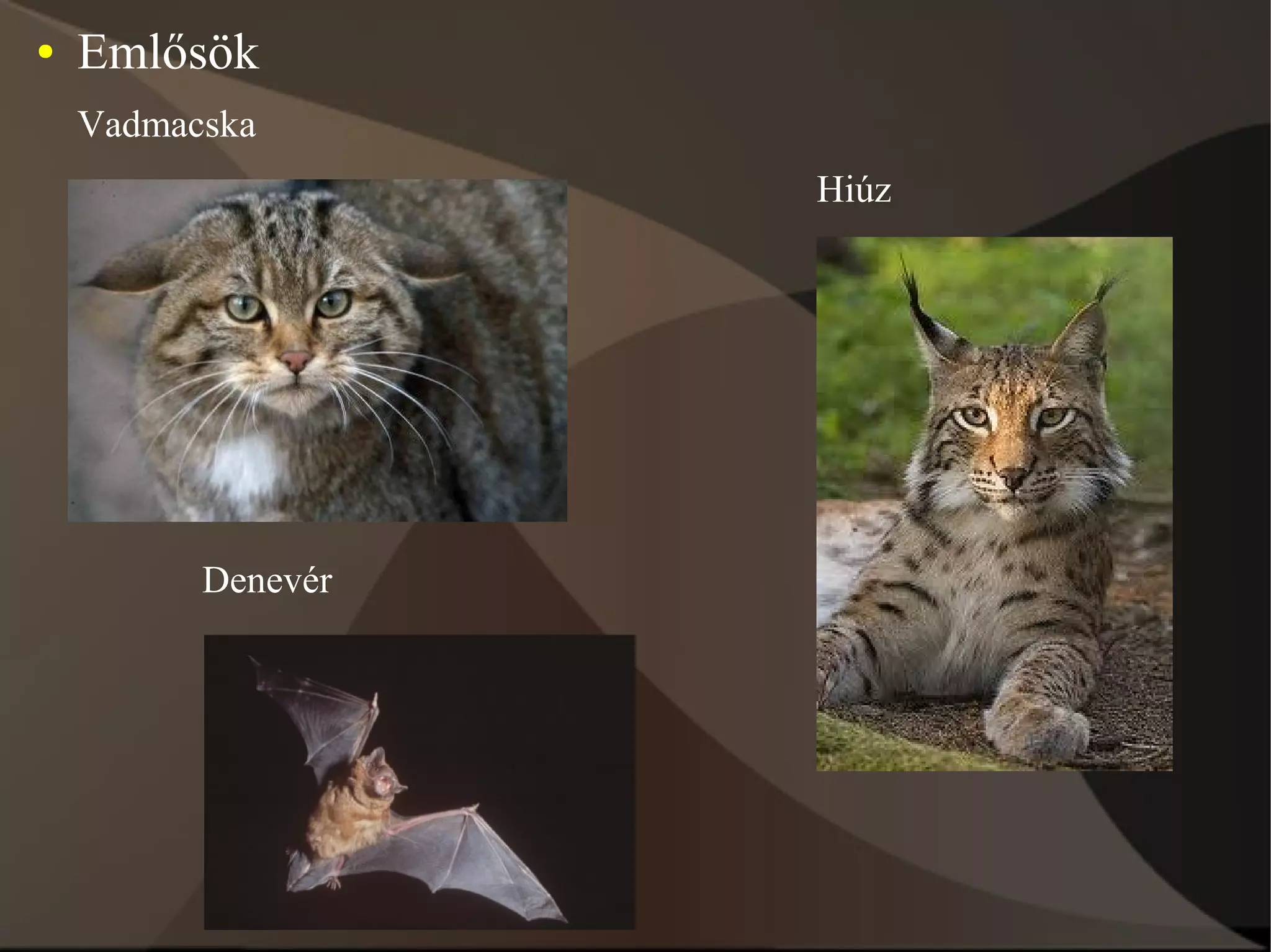 Bukki nemzeti park | ODP