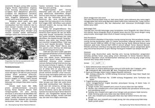 Buku burung-baluran-2 | PDF