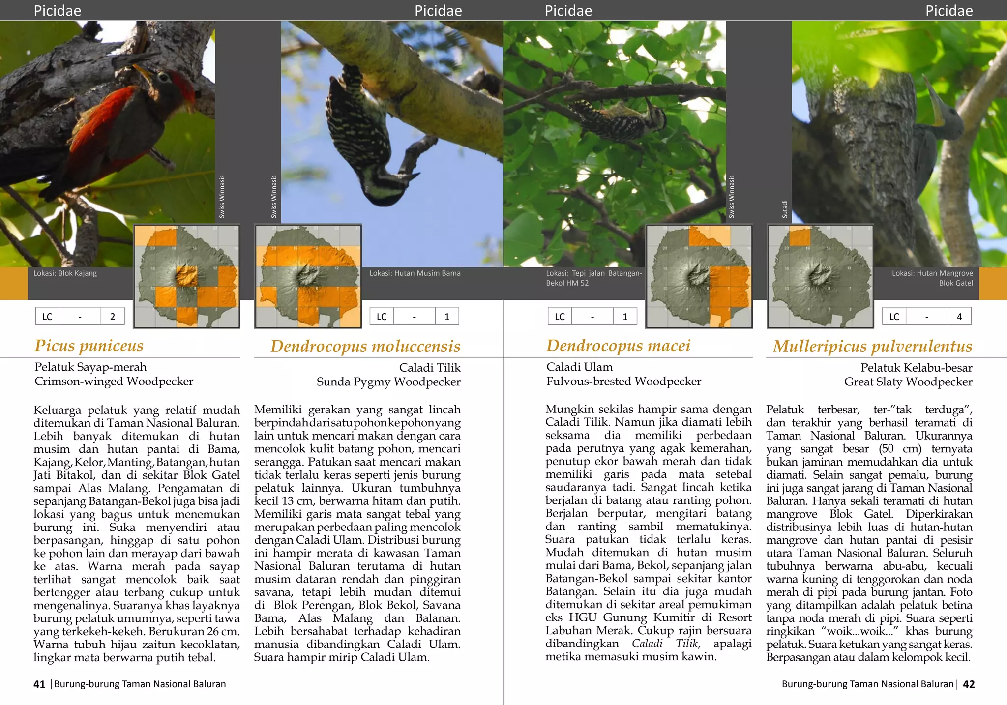 Buku burung-baluran-2 | PDF