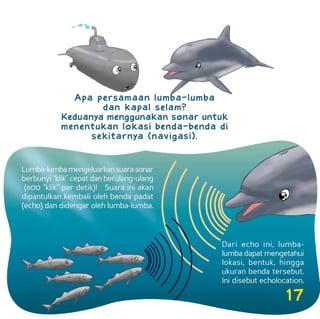 Buku ilustrasi-anak lumba-lumba | PPT