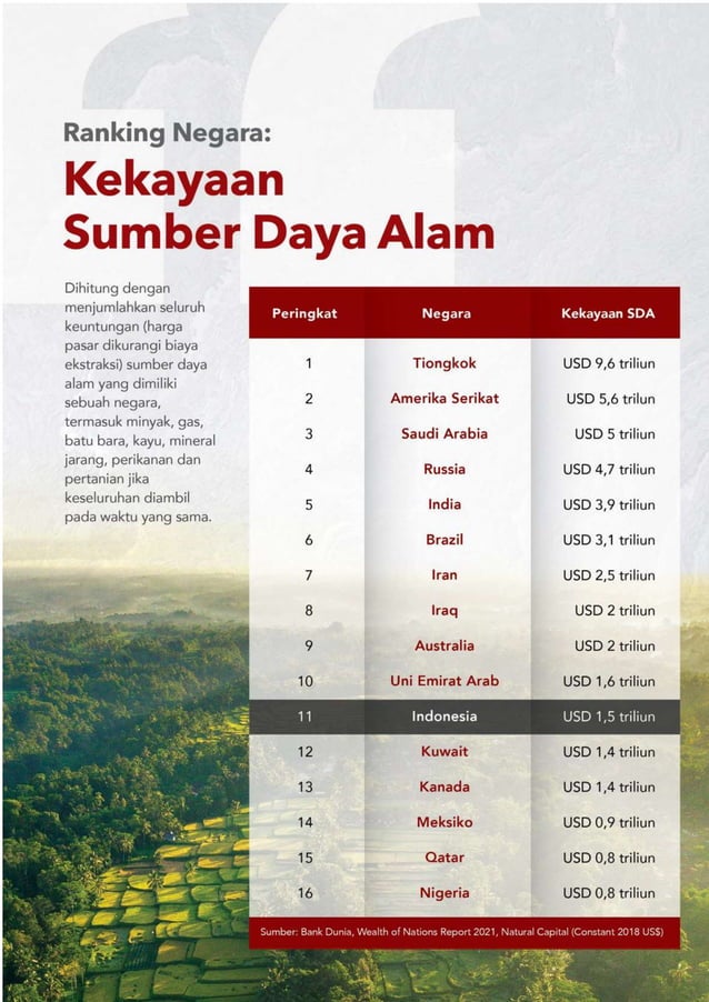 Strategi Transformasi Bangsa: Menuju Indonesia Emas 2045 | PDF
