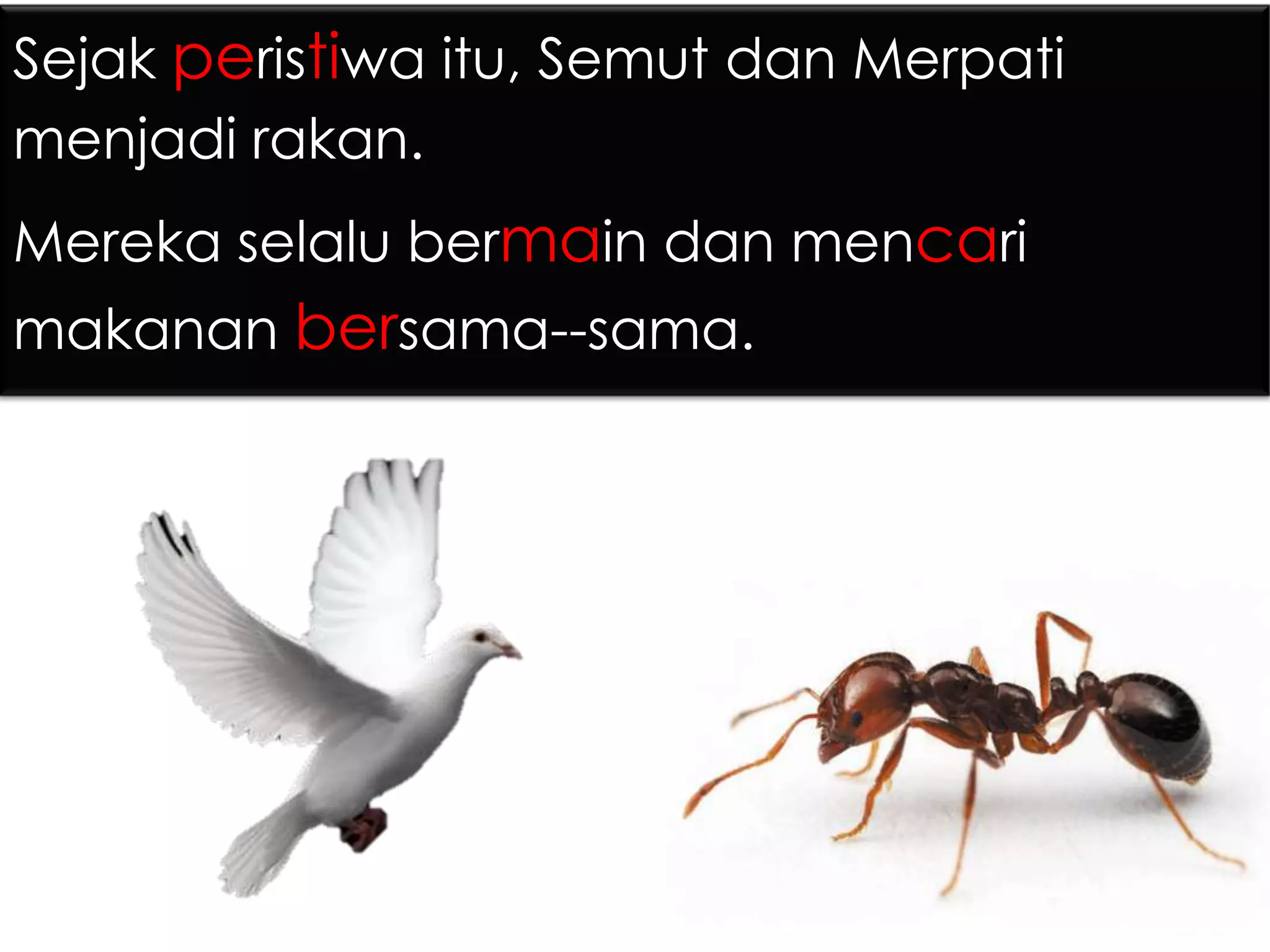 Semut dengan Merpati | PPTX
