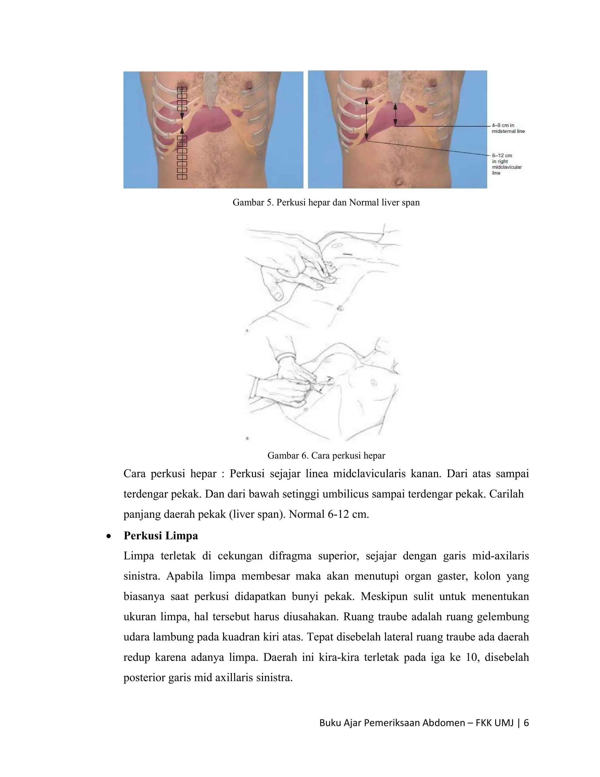 pemeriksaan fisik abdomen keterampilan fisk dasar | PDF