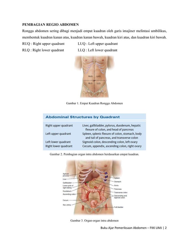 pemeriksaan fisik abdomen keterampilan fisk dasar | PDF
