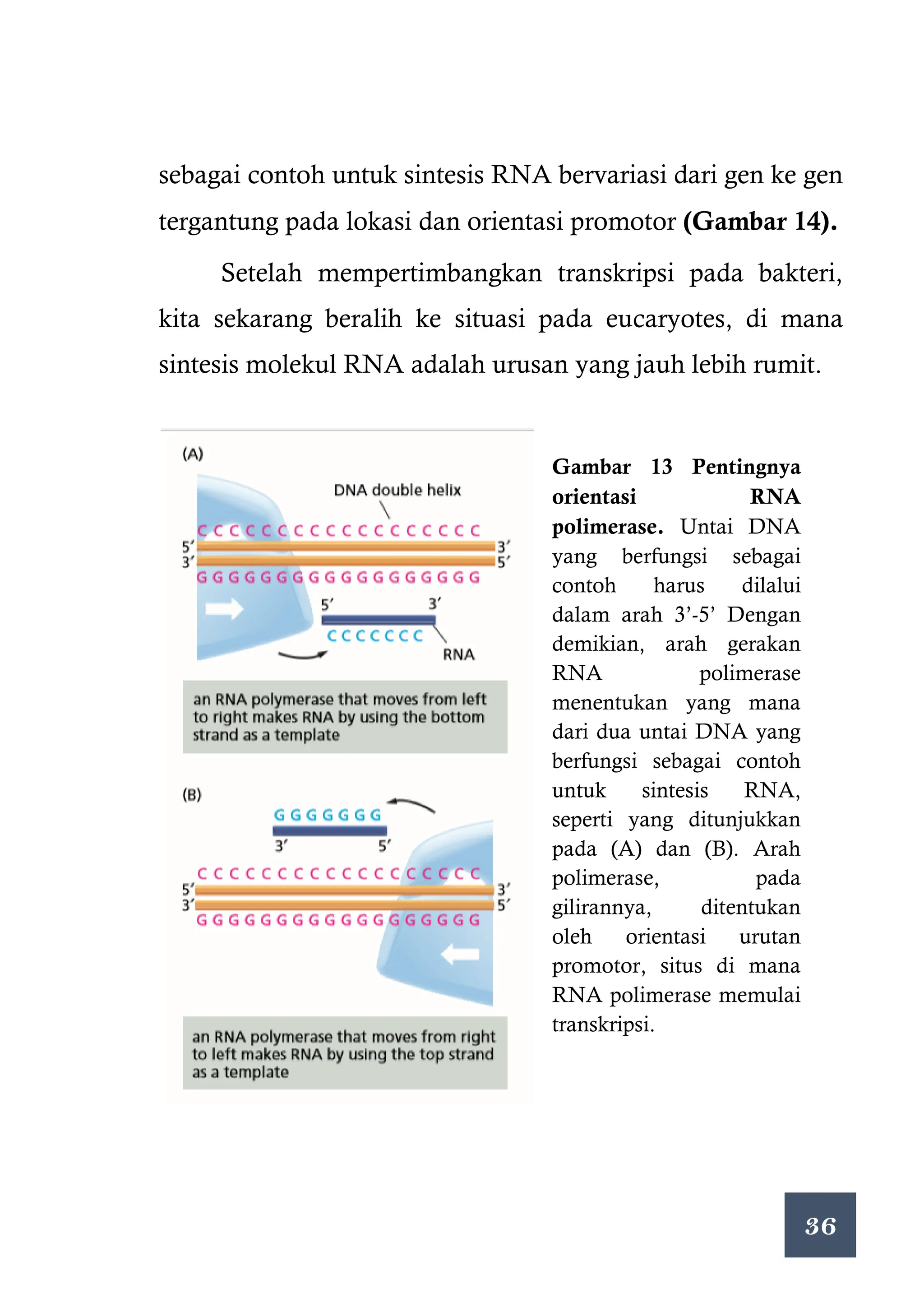 Buku Ajar Ekspresi Gen (2021)¹111111111.pdf