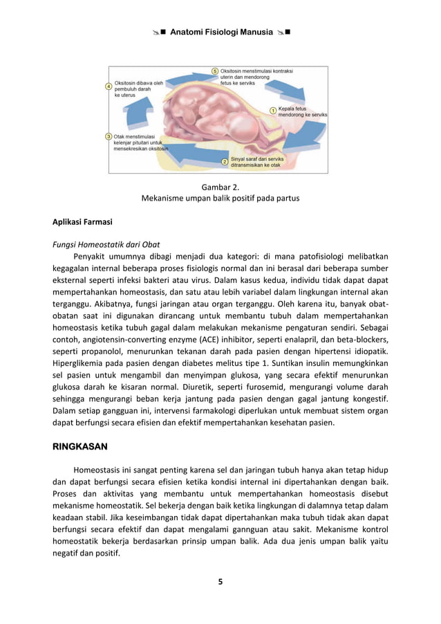 Buku ajar ppsdmk anatomi dan-fisiologi-manusia-komprehensif | PDF