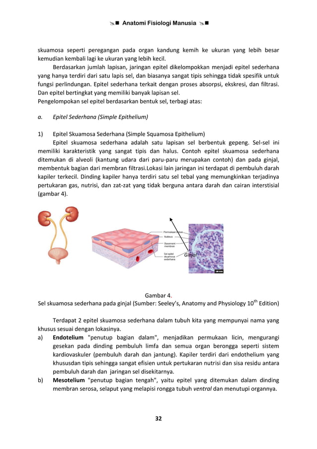 Buku ajar ppsdmk anatomi dan-fisiologi-manusia-komprehensif | PDF