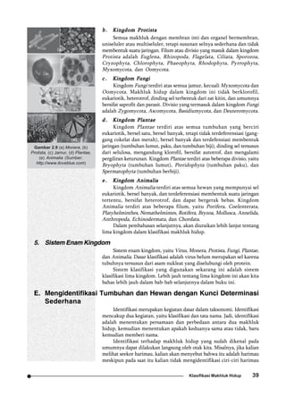 Buku Biologi SMA Kelas X Ari Sulistyorini | PDF