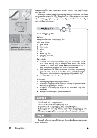 Buku Biologi SMA Kelas X Ari Sulistyorini | PDF