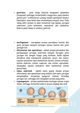 Pertumbuhan dan Perkembangan | PDF