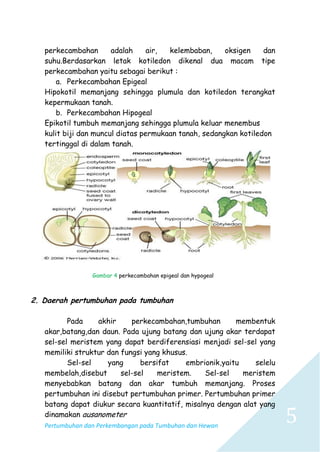 Pertumbuhan dan Perkembangan | PDF