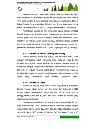 DIKPLHD Kabupaten Bangka Tengah 2023 Eksekutif Summary | PDF