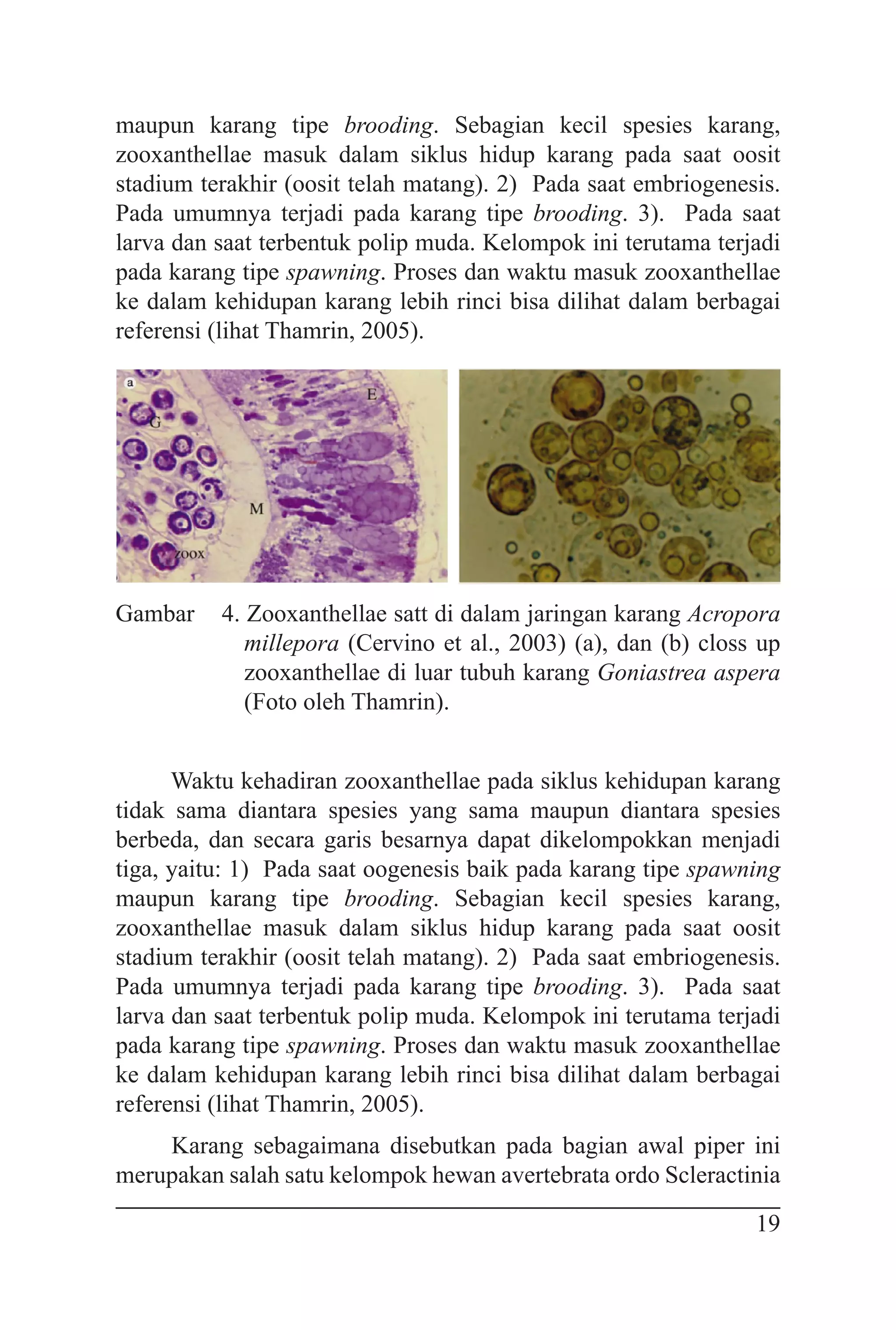 Karang dan Zooxanthellae | PDF