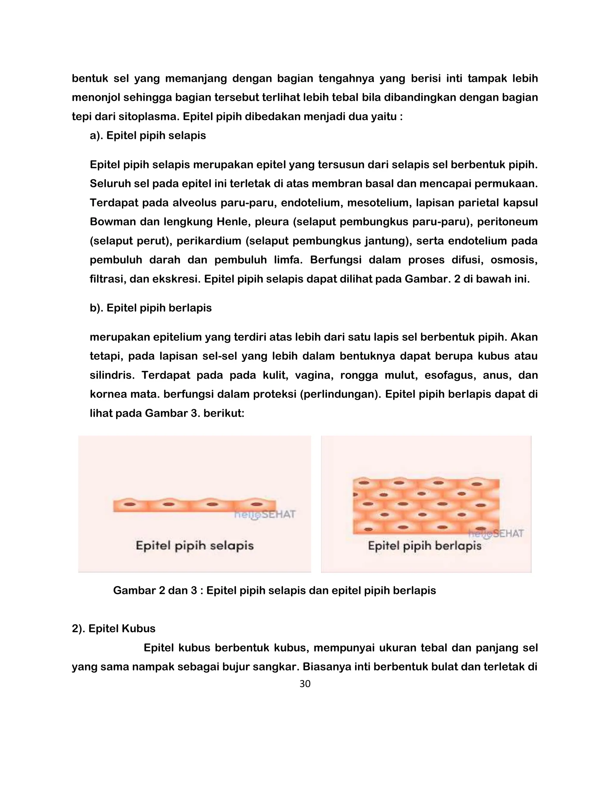 Buku Konsep dasar biologi yang mempelajari dasar biologi | PDF