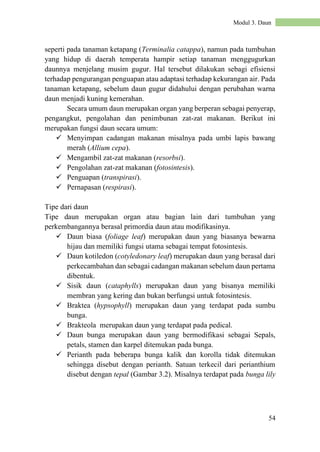Buku Materi Pembelajaran Morfologi Tumbuhan.pdf